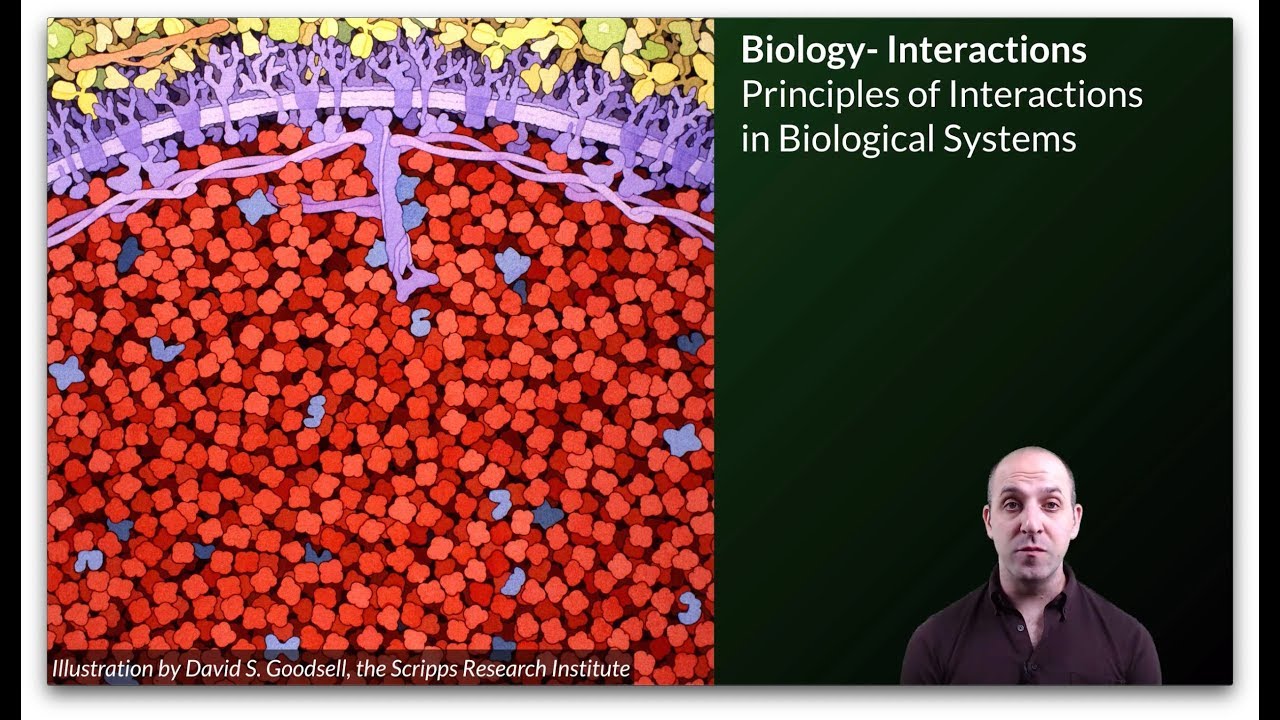 K-Bio Interactions 1: An Overview of Biological Interaction Networks ...