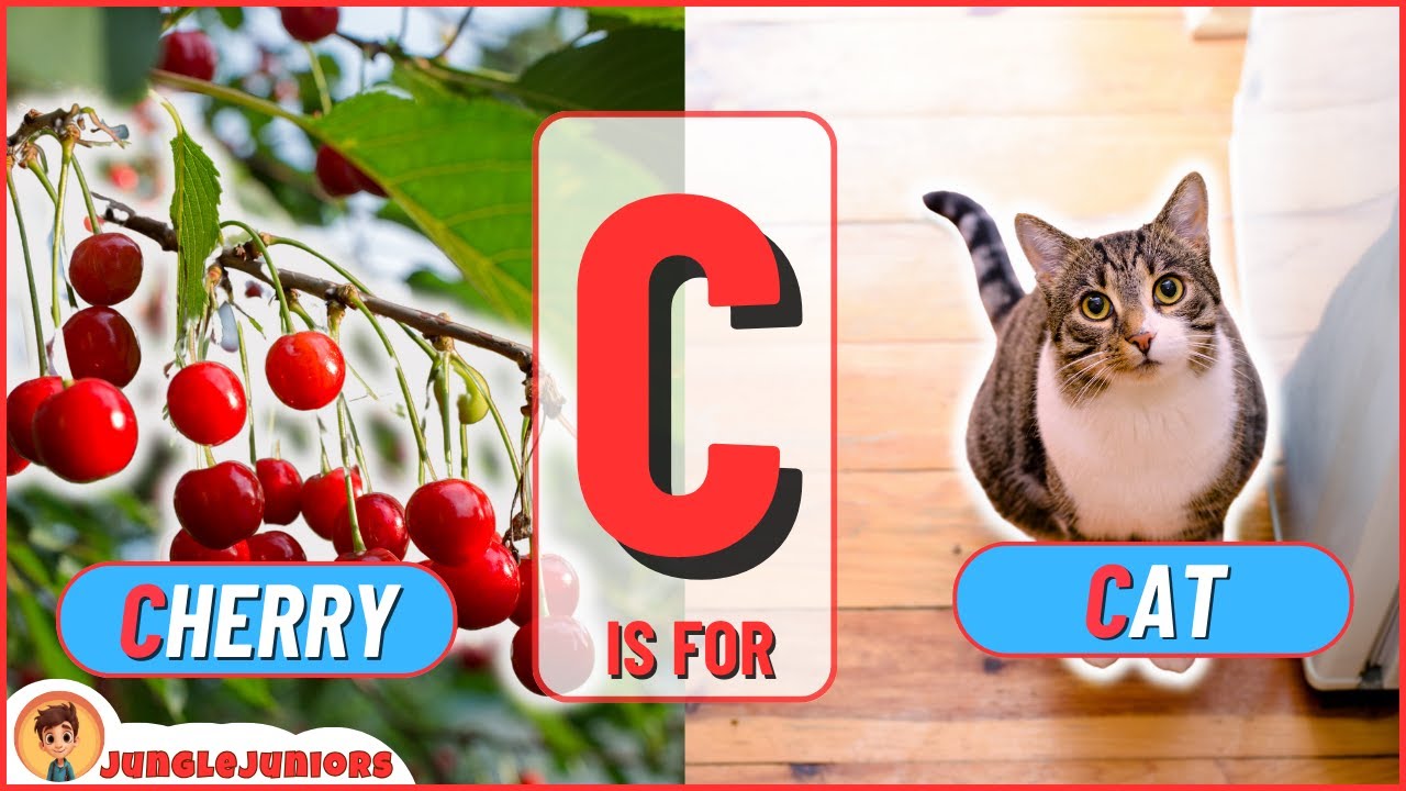 Letter C | Animal Encyclopedia | ABC Animals for Kids, Homeschooling ...