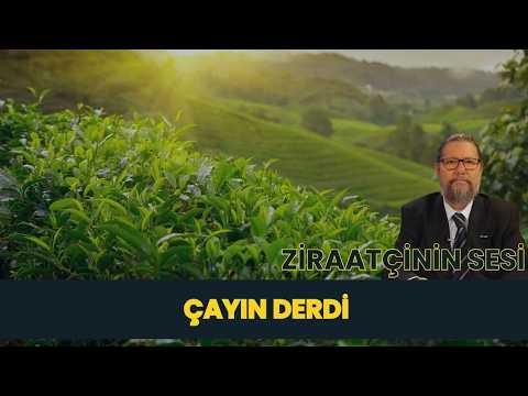 ÇAYIN DERDİ I ZİRAATÇİNİN SESİ