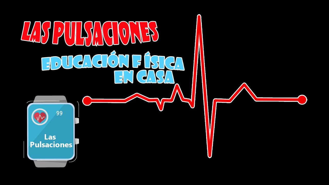 FRECUENCIA CARDÍACA. LAS PULSACIONES. EDUCACIÓN FÍSICA EN CASA. - YouTube
