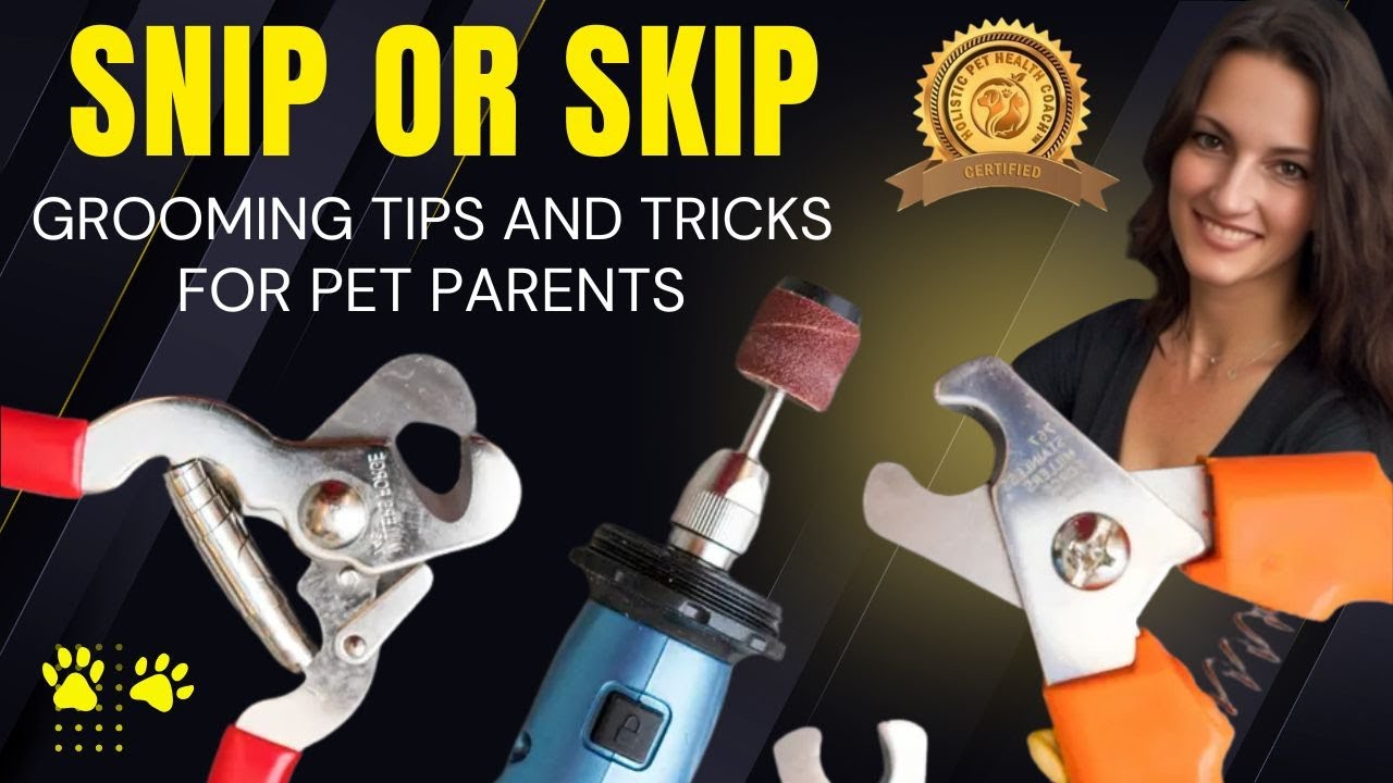 "Snip or Skip" - is it a good idea to groom your dog at home? - YouTube