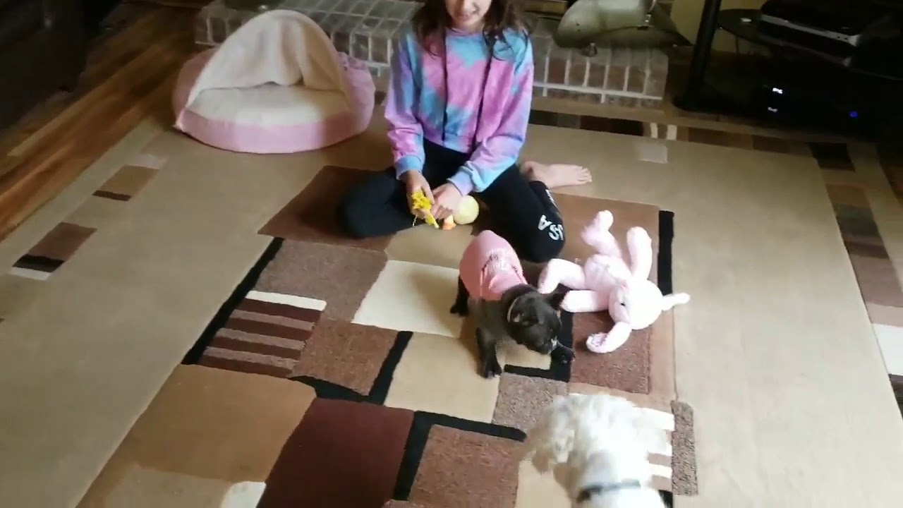 Feisty little girl - YouTube