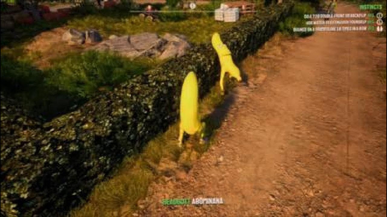 Crazy Bananas - YouTube