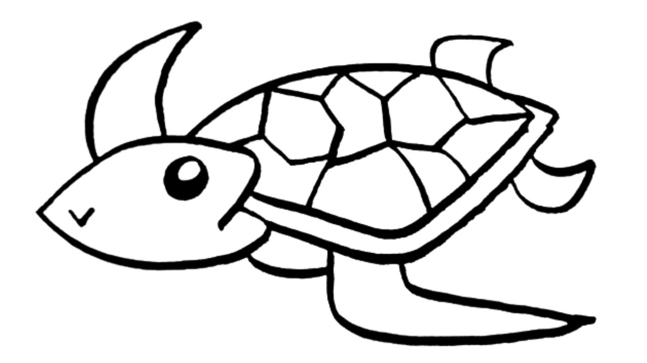 Drawing a Cute Mini Moon Sea Turtle: A Step-by-Step Guide for Beginners ...