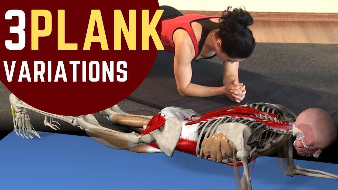 Plank exercises for powerful abs - YouTube