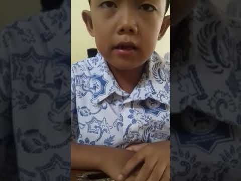 Hiya adek siapa nihh