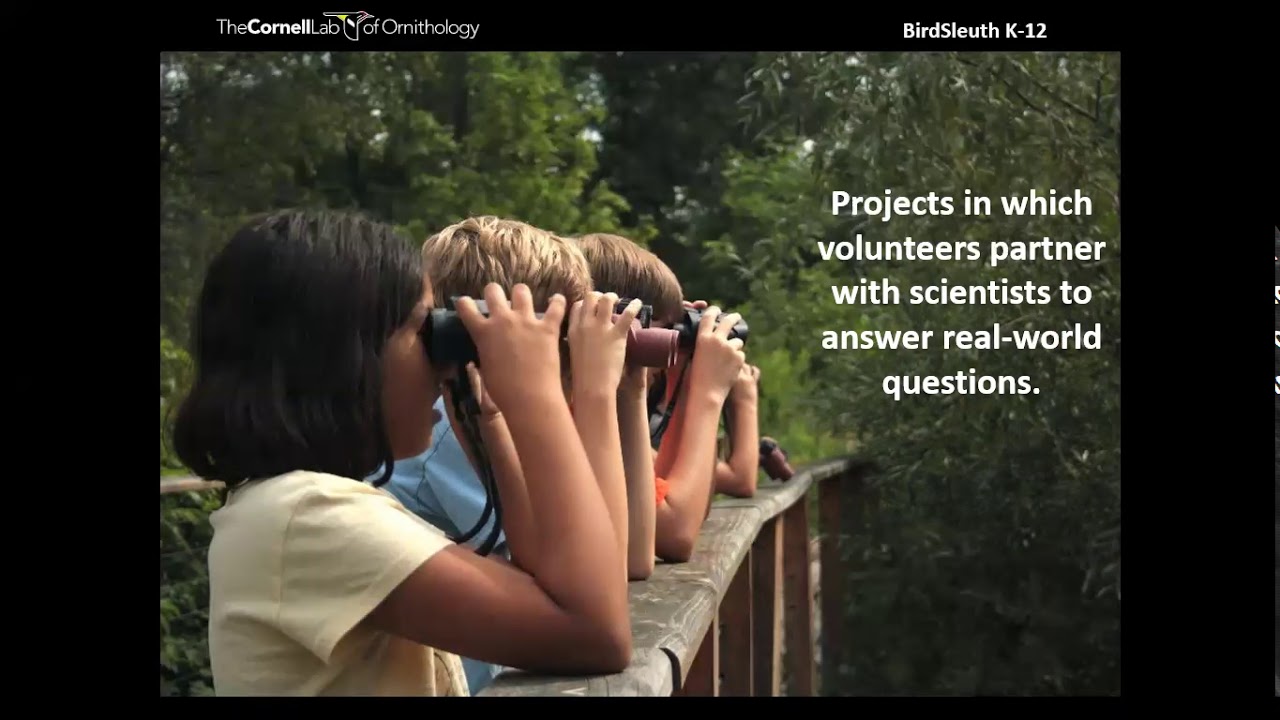 Observing Our Environment with "Feathered Friends" - YouTube