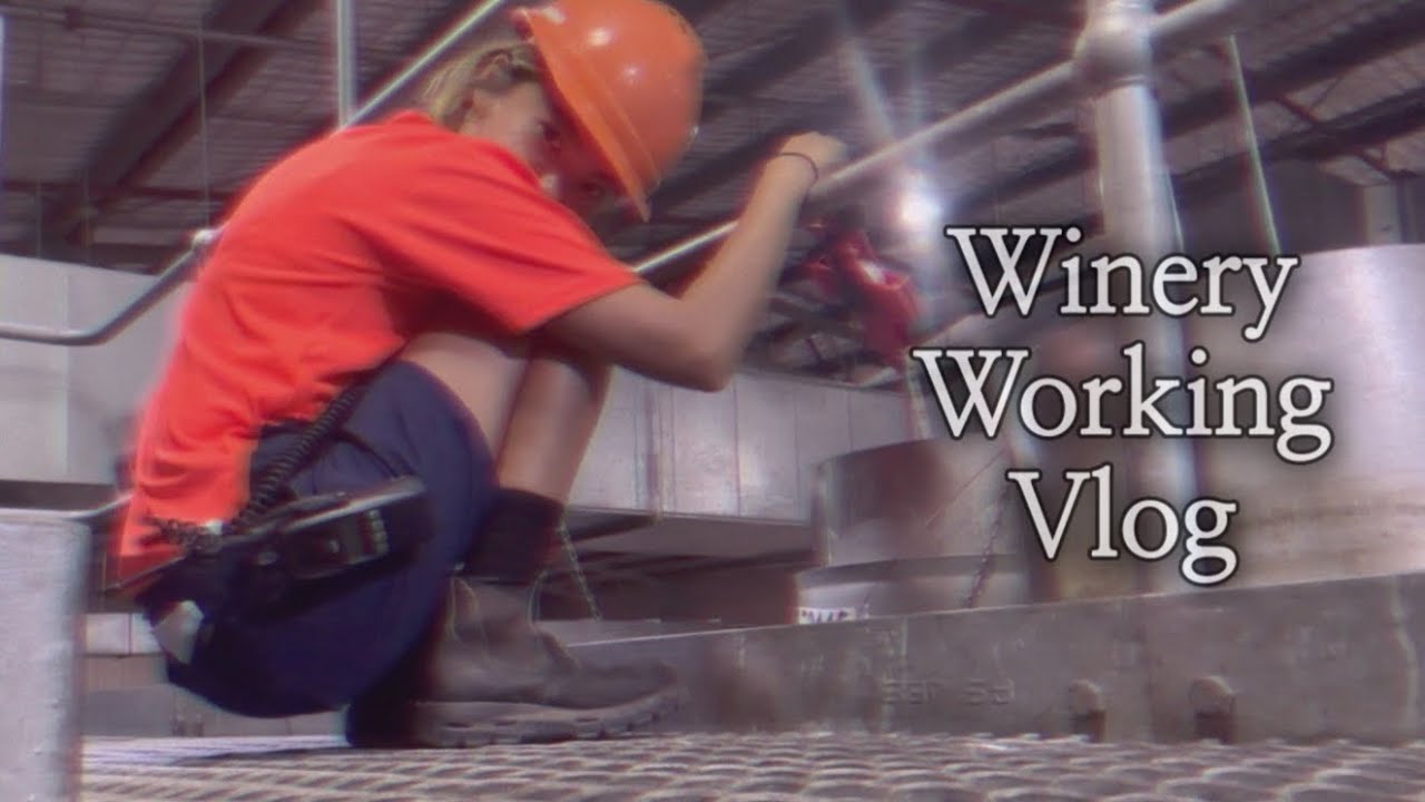 ๐ฆ๐บ ํธ์ฃผ์ํ ์นด์
๋ผ ์์ด๋๋ฆฌ์์ ์ผํ๊ธฐ1 ๋ฌด์จ ์ผ์ ํ๋์ง ์ผ ํ๋ ํ๊ฒฝ ๋ฌด์ ์์ด ๋ฅํ
์ดํabs Youtube