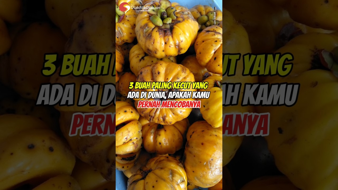 3 buah paling kecut yang ada di dunia, apakah kamu pernah mencobanya # ...