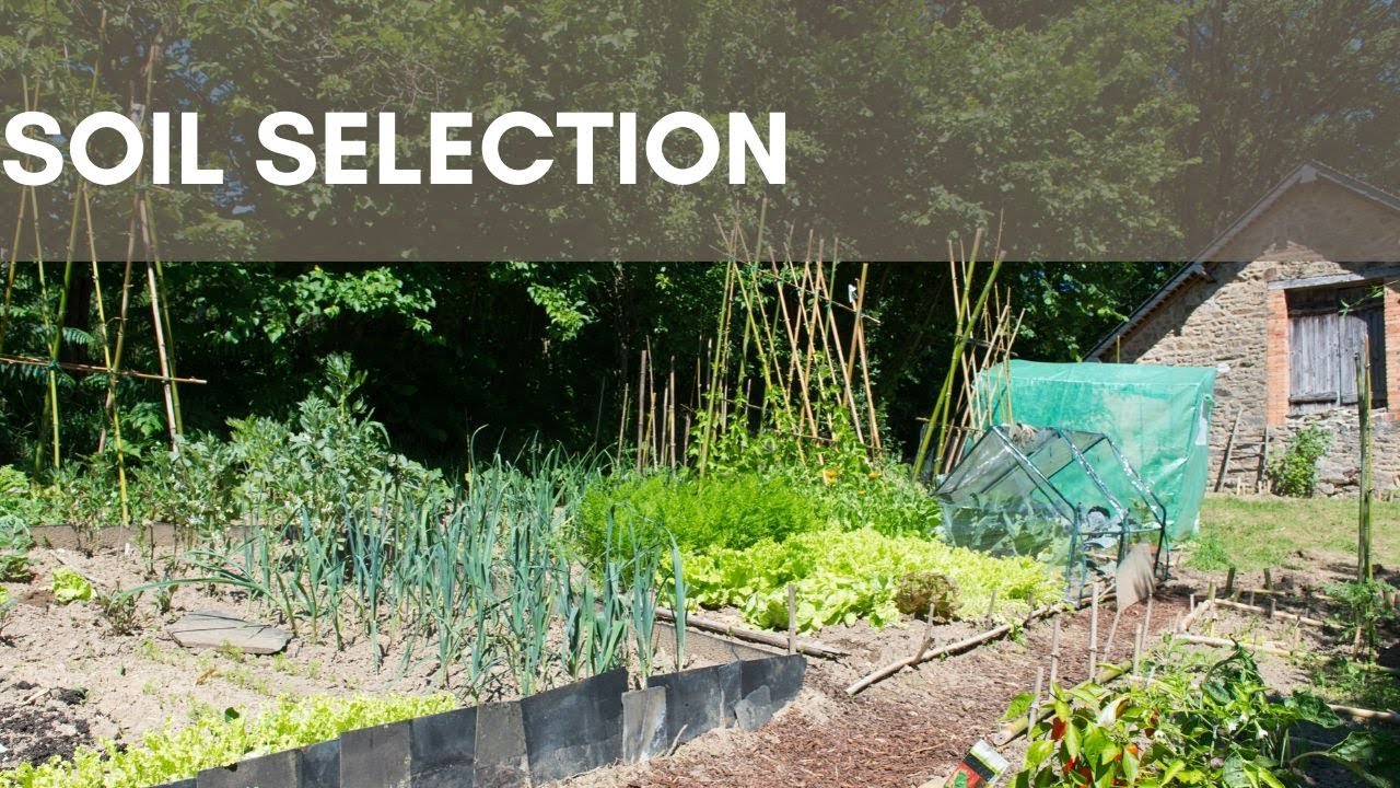 Soil Selection 1 - YouTube