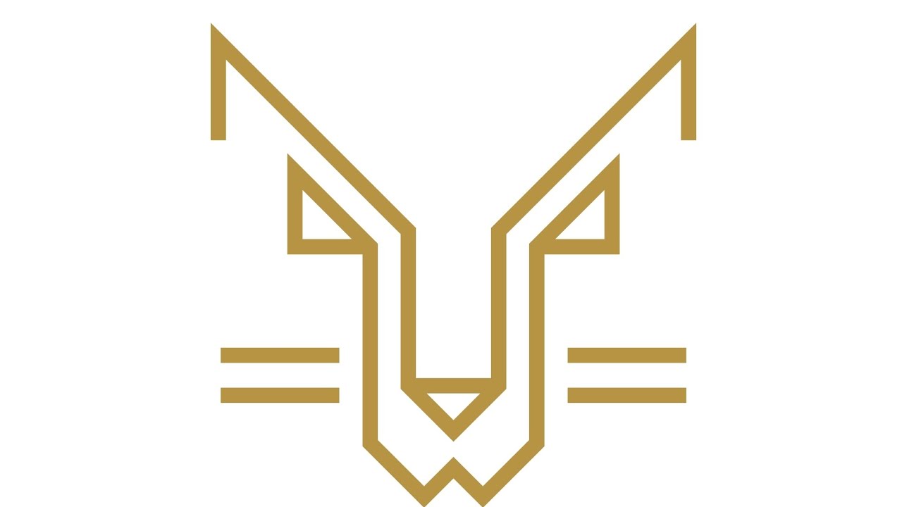 TIBIA how to make money and high level fast in 1 week - YouTube