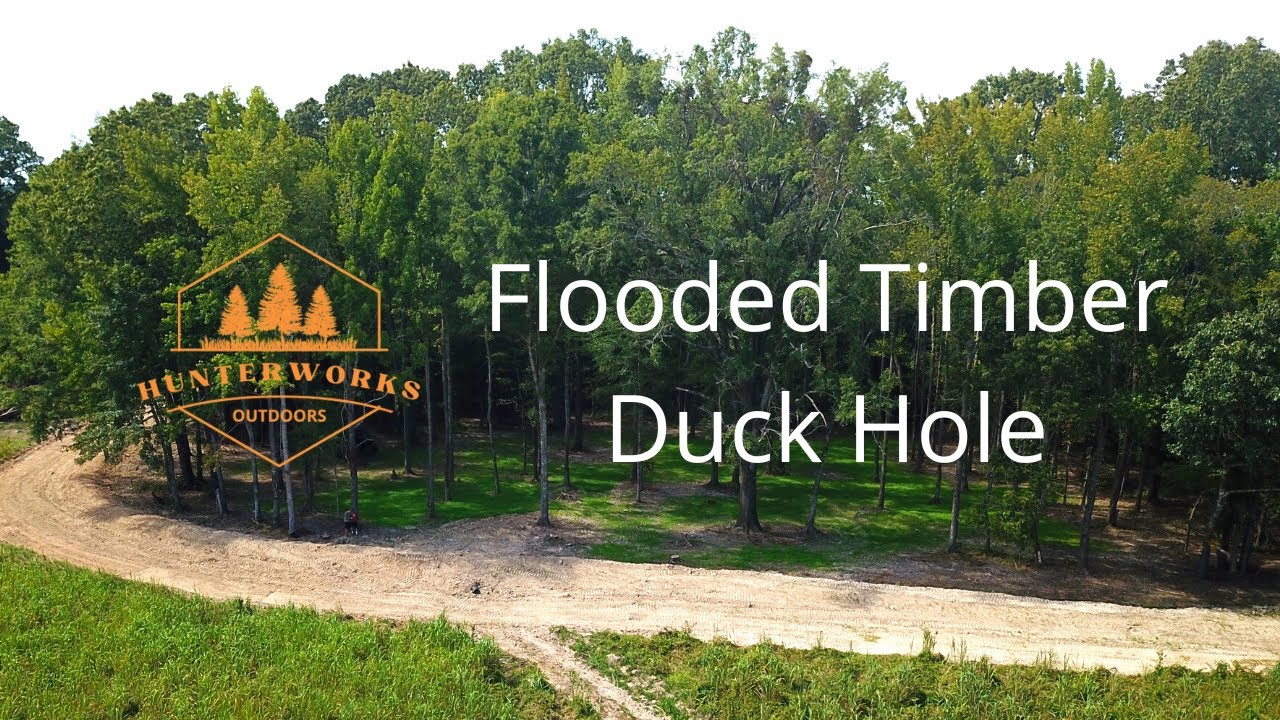 Father and Son, Duck Hole Build - YouTube