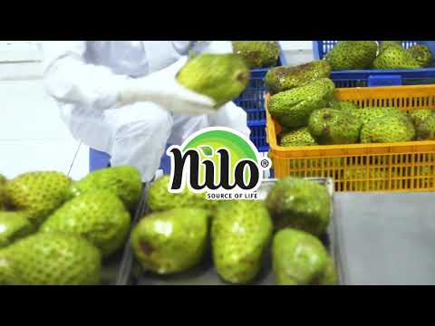 NILO Guanabana Soursop Juice - YouTube