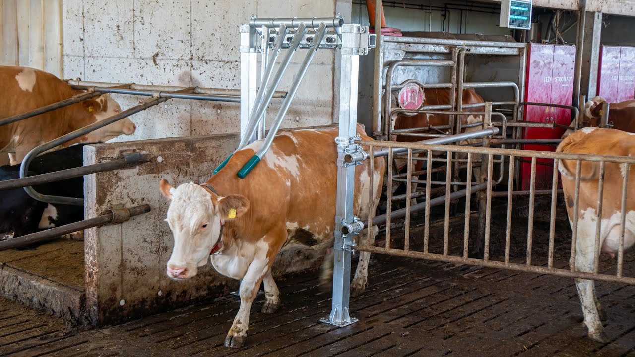 PATURA Fingergatter - YouTube