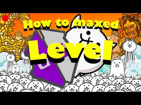 Battle Cats - How to maxed out level - YouTube