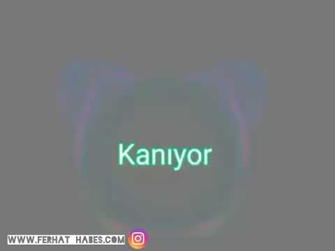 Evlerinde lanbaları yanıyor