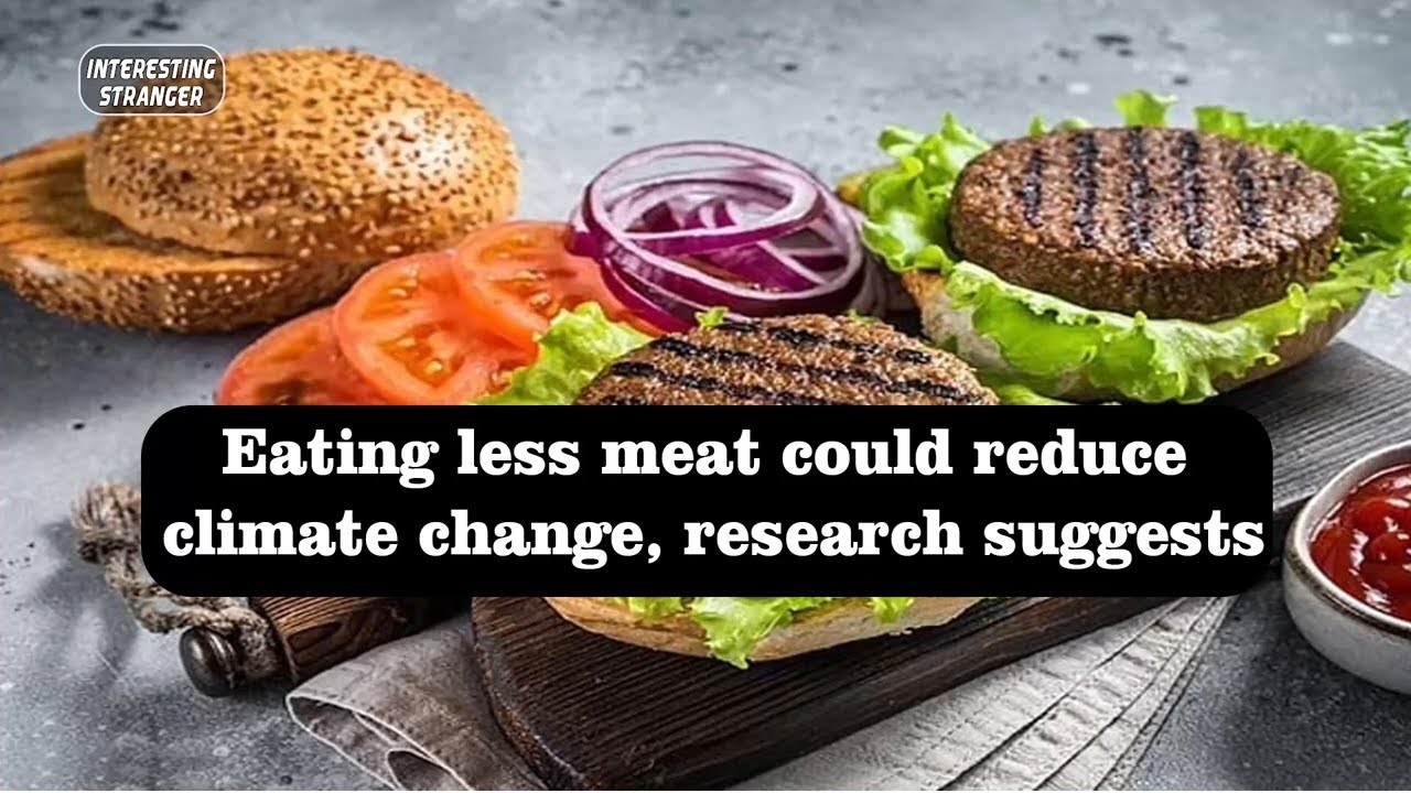 Eating less meat could reduce climate change, research suggests ...