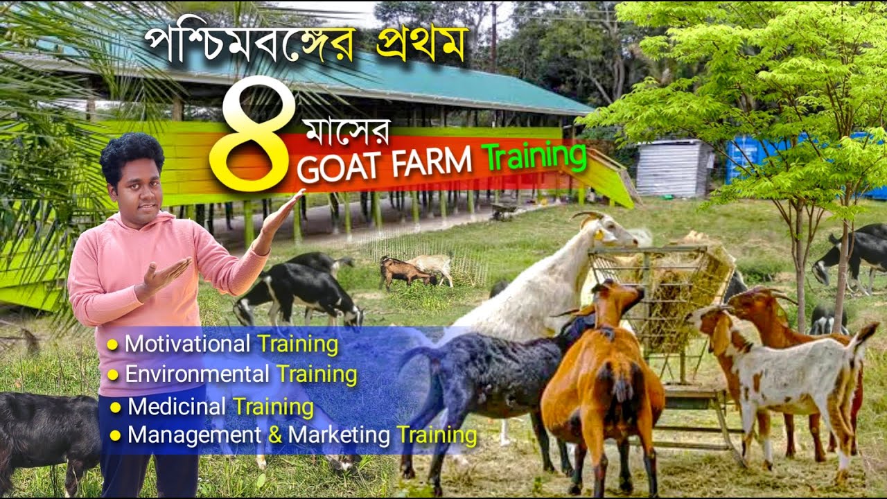 Goat Farming in india |পশ্চিমবঙ্গে প্রথম 4 Month GOAT FARM Training ...