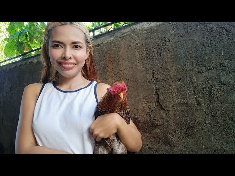 BRUNCH : Pancit Beef