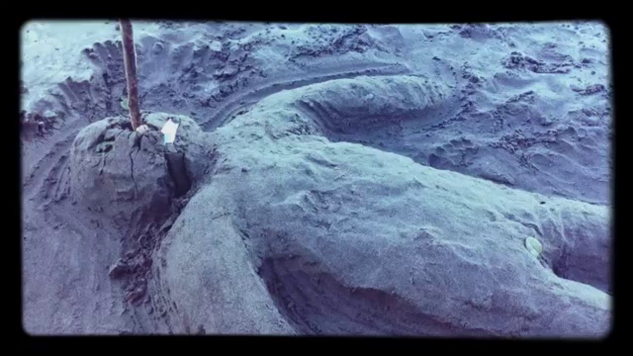 The Abandoned Body - YouTube