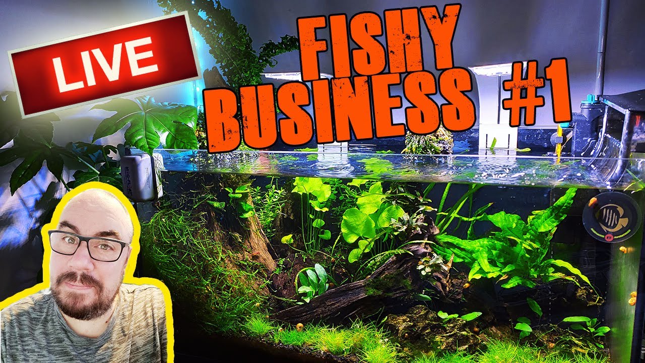 Fishy Business #1 - YouTube