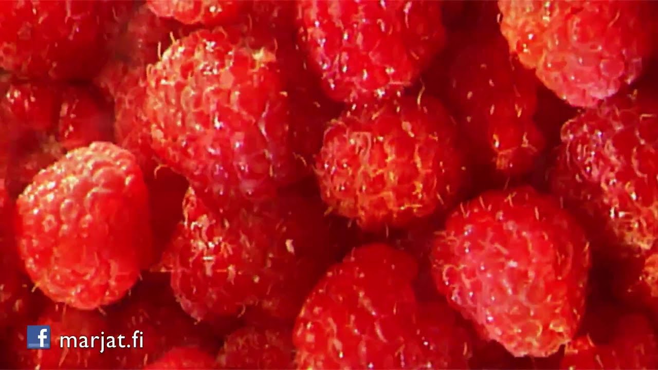 Mansikat ja vadelmat HD 2016 - YouTube