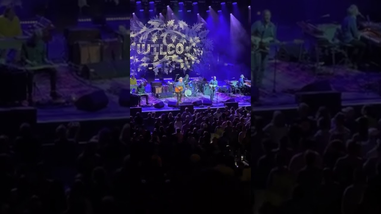 Wilco - Story To Tell - YouTube