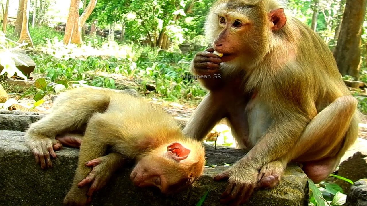 What....Happened to baby Amanda ?? - YouTube