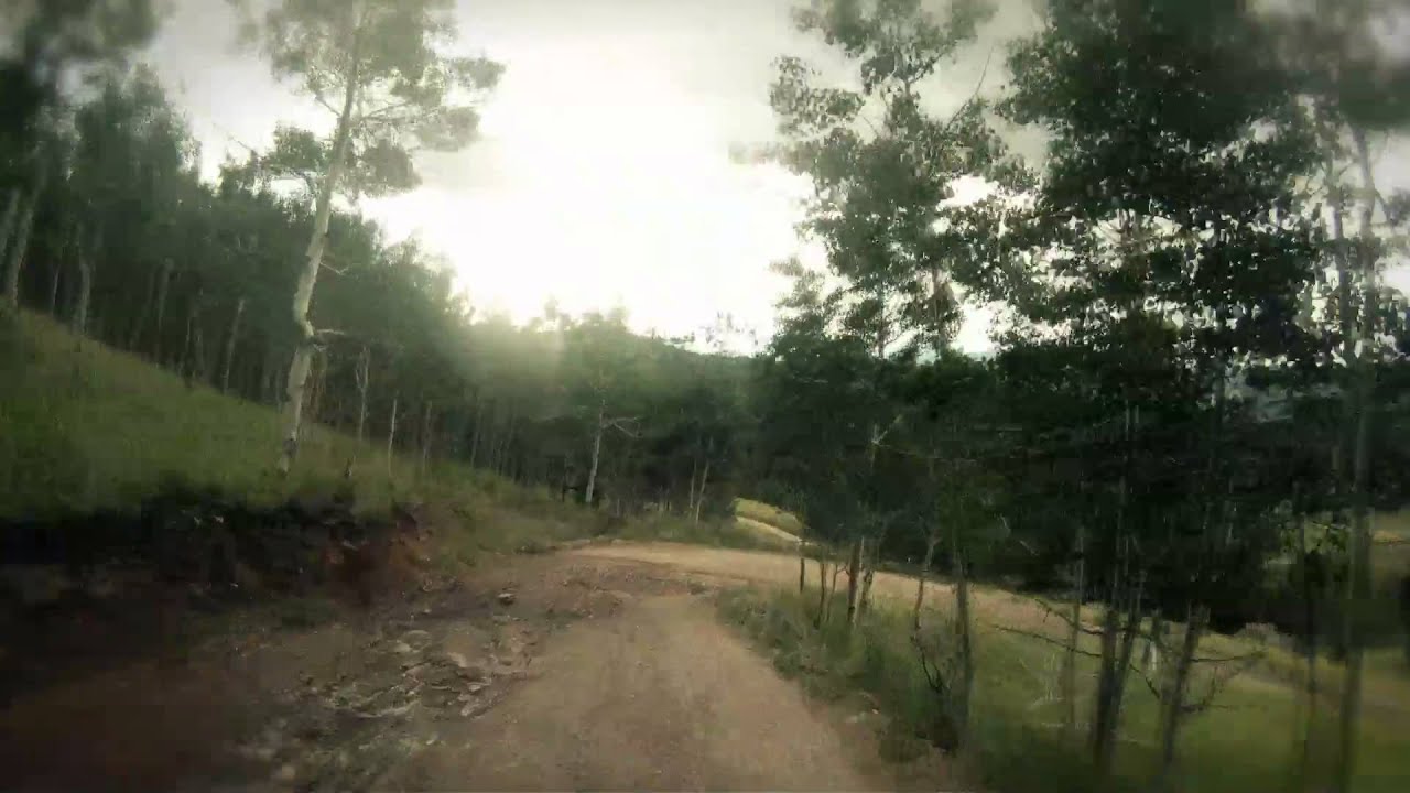 Lissa Hanner - "Copperhead Road - Live" (color) - YouTube