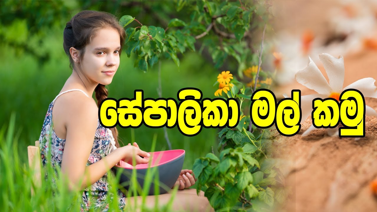 සේපාලිකා කෑමට ගත්තොත් ඔබට හිතාගන්න බැරිවෙයි වෙන දේ - sepalika mal - YouTube