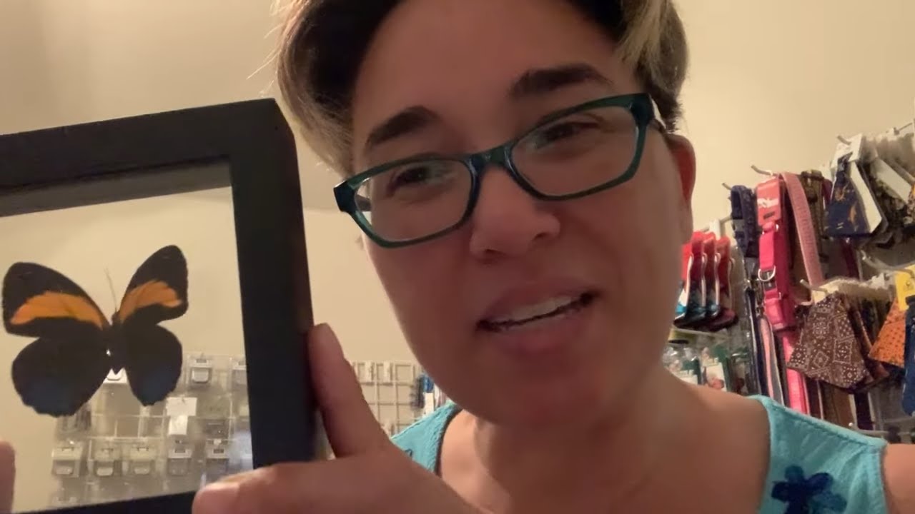 In 2020 receiving a butterfly gift from a fan and friend Grace - YouTube