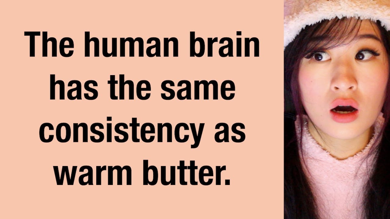 Weird Facts You Needed To Know YouTube weird-facts-you-needed-to-know-youtube