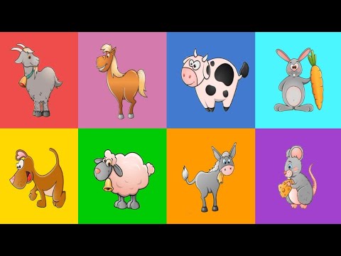 Learn Animals | Animals Names for Kids | Animals Puzzle and Real Video of the Animals Part 1 ...