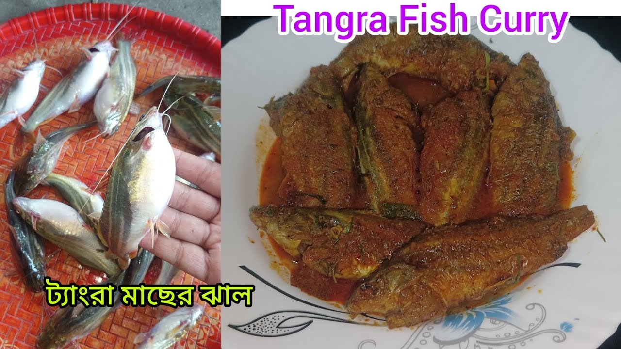 ট্যাংরা মাছের ঝোল ।।Tangra Fish Curry।। Tangra Macher Tel-Jhal ...