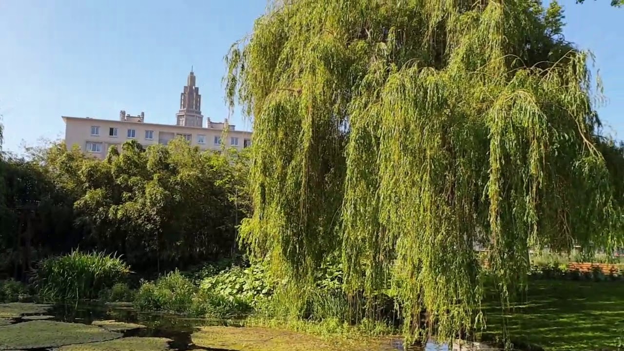 SQUARE SAINT ROCH - LE HAVRE - MAI 2020 - YouTube