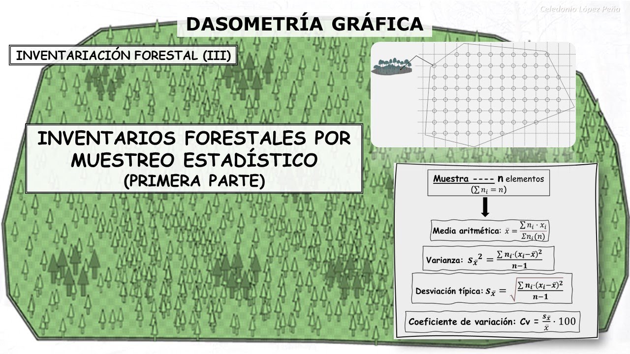 INVENTARIO FORESTAL POR MUESTREO (1ª PARTE-INTRODUCCIÓN) - YouTube