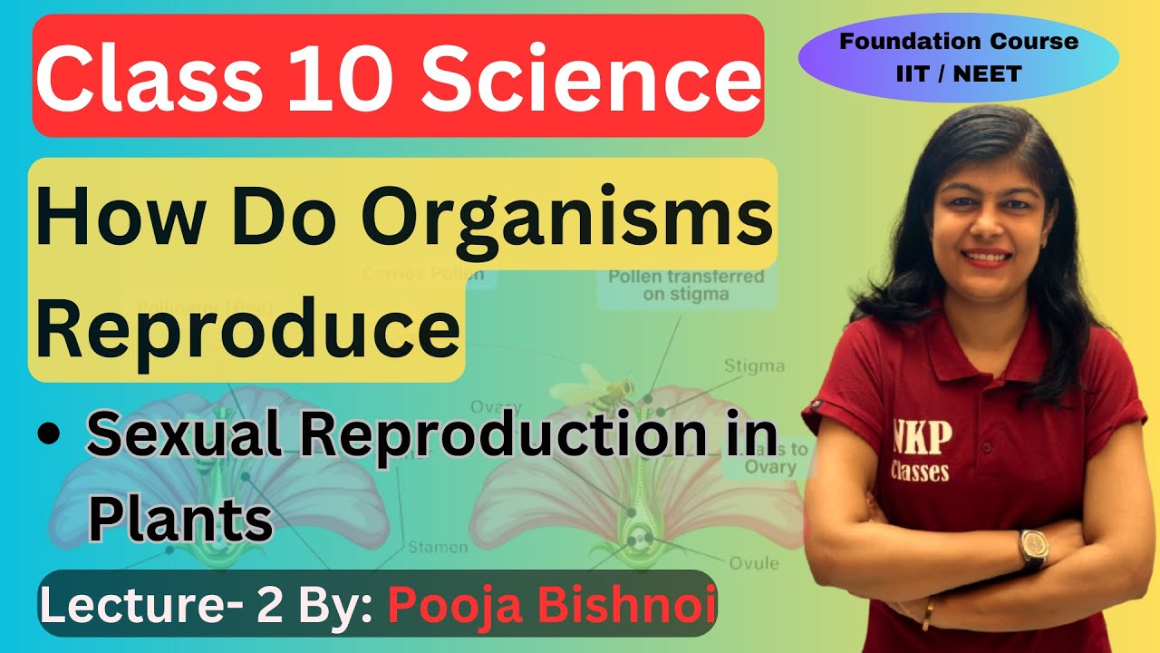 Class 10 | How to Organism Reproduce | Chapter 7 | Sexual Reproduction ...