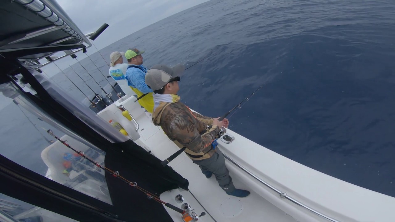 Jigging Fishing Trip Gulf Stream - YouTube
