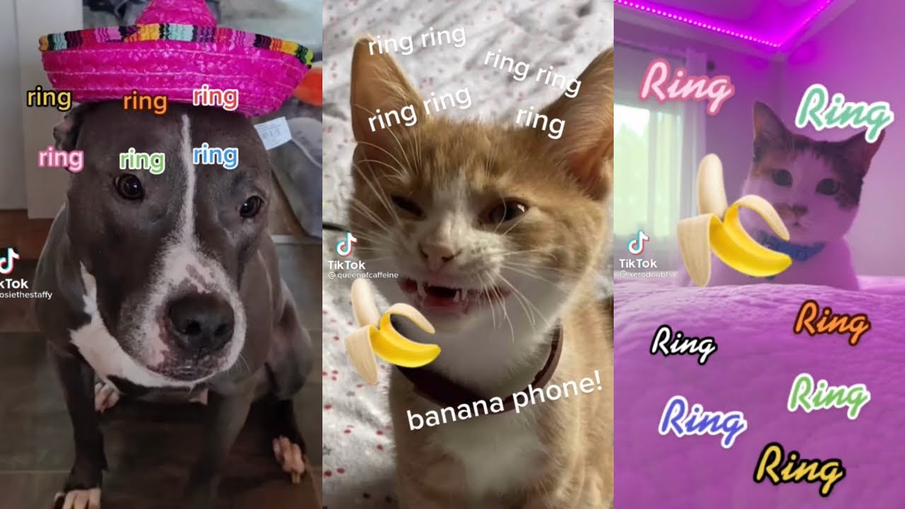 Ring ring ring ring Banana Phone 🍌 - LOL - YouTube