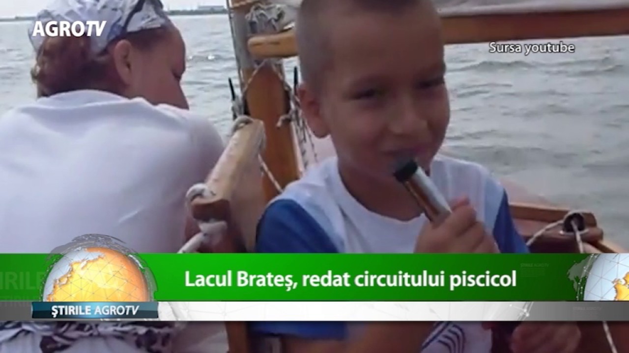 Lacul Brates, redat circuitului piscicol - YouTube