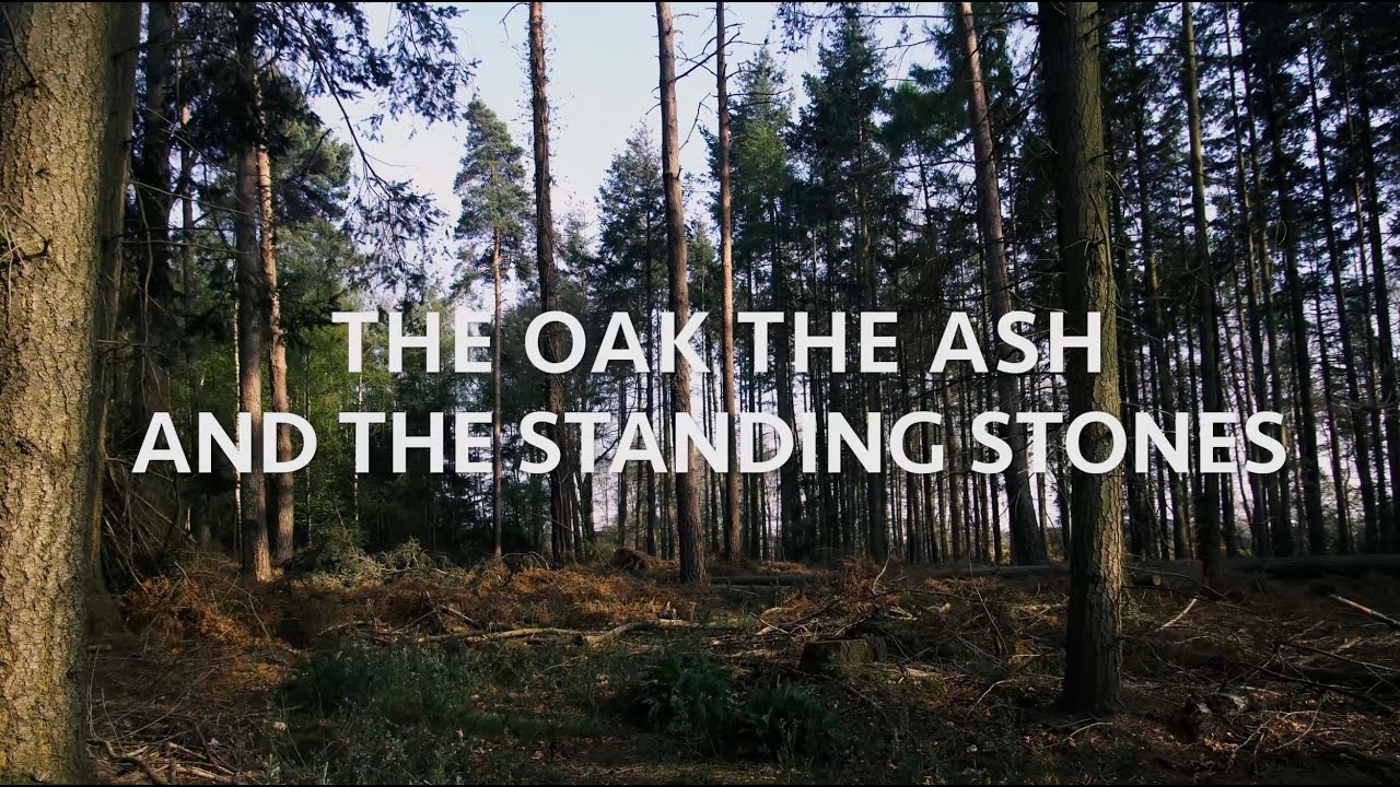 THE OAK, THE ASH and THE STANDING STONES - YouTube