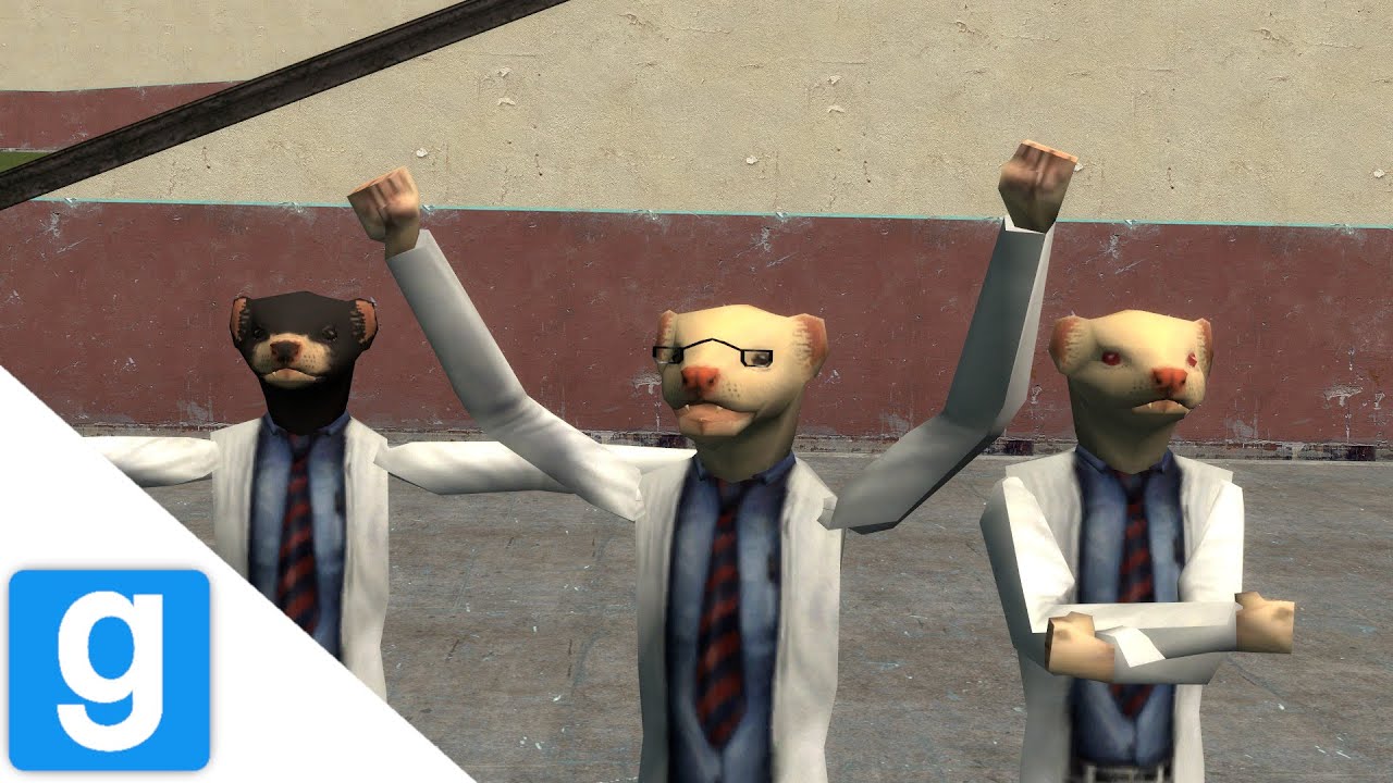 Garry's Mod Model: Ferret Scientist - YouTube