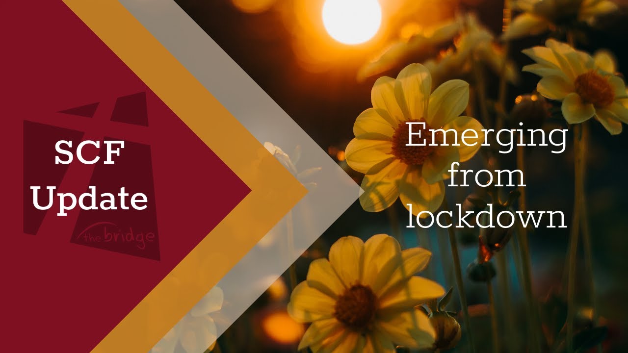 Weekly Update - Emerging from Lockdown - YouTube