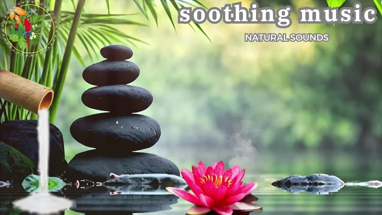 Babbling water, chirping birds, vibrant blooming,soothing music create ...