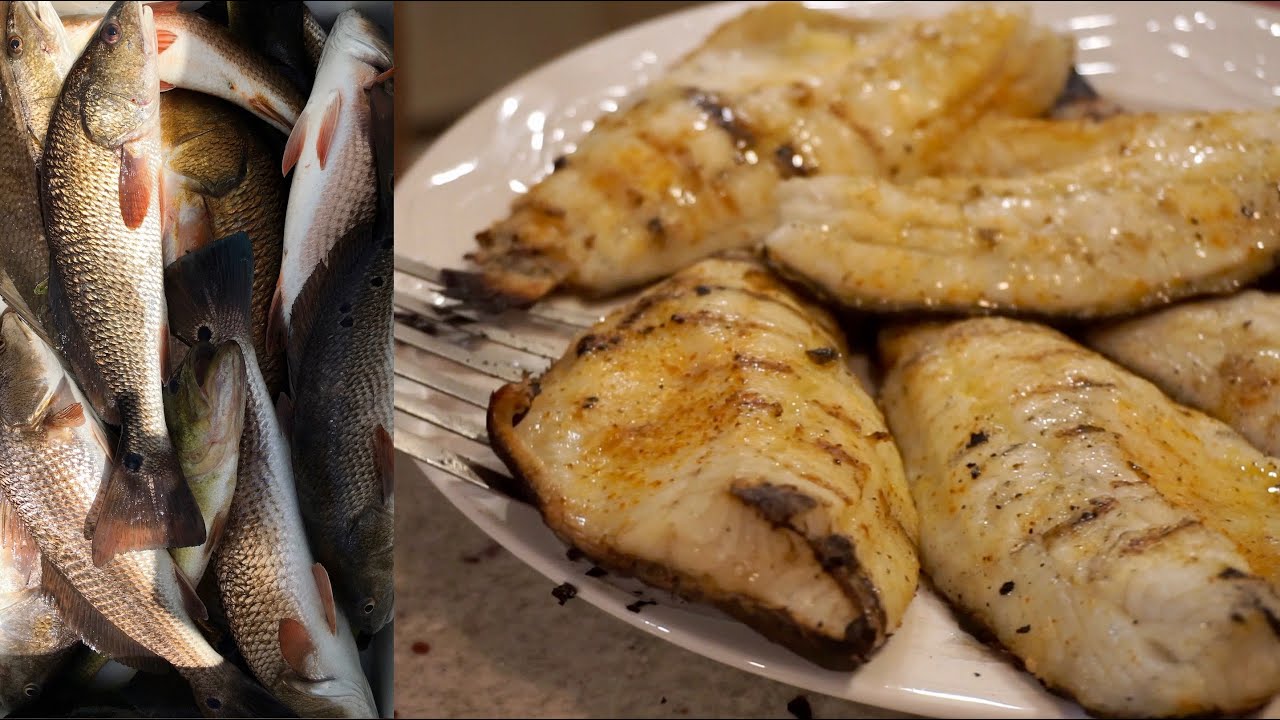 Watch us catch and cook this incredible fish dish! - YouTube