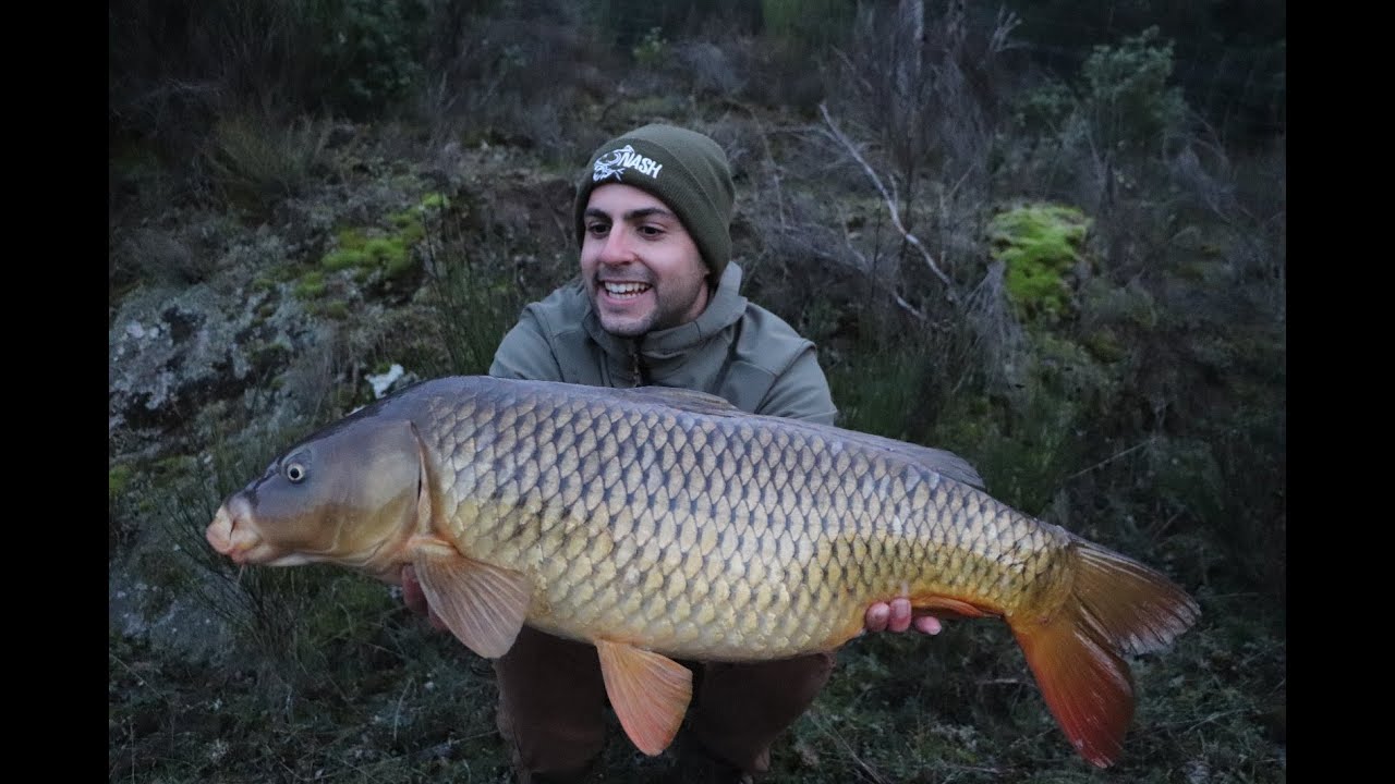 CARP FISHING en INVIERNO - con Juan Maroñas // YOUNG CARP - YouTube