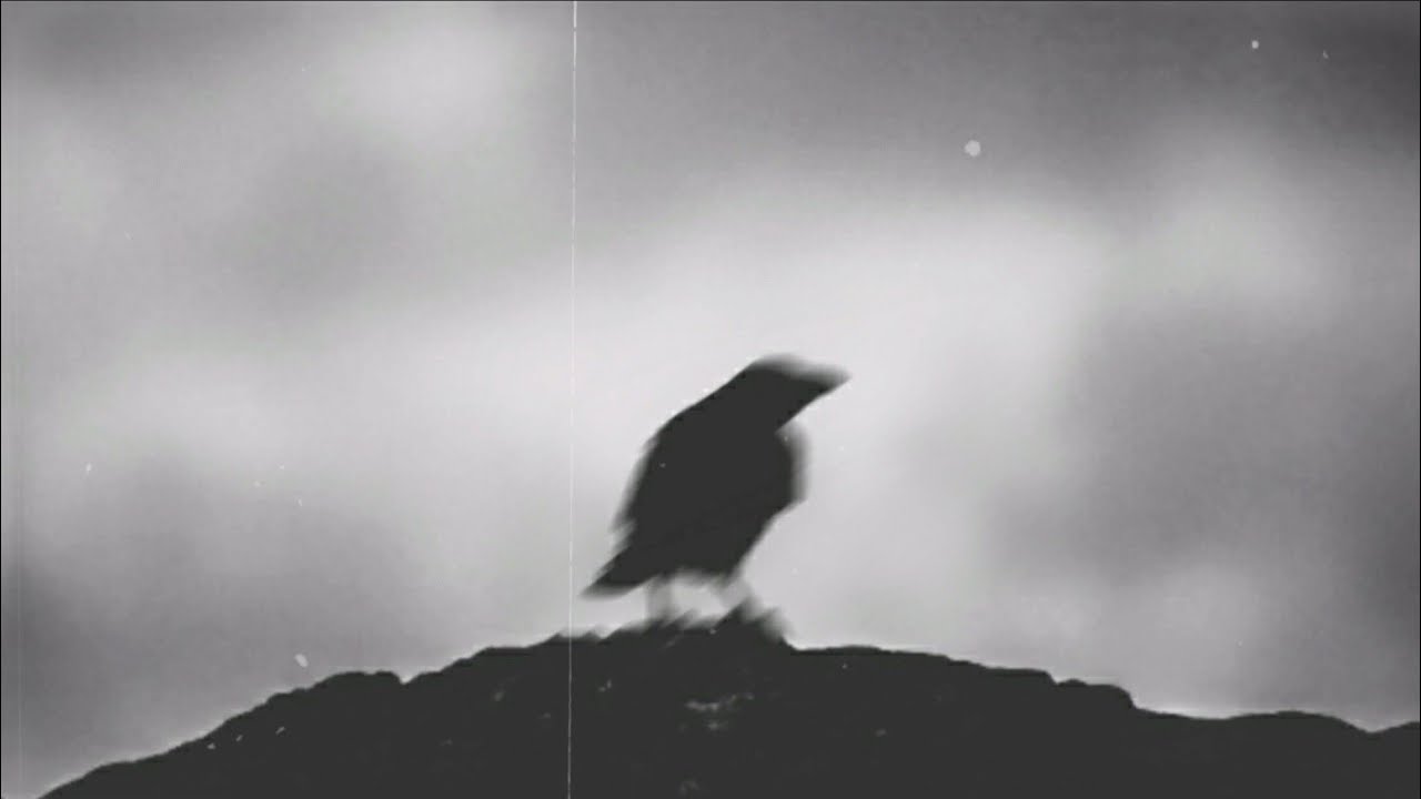 Raven [Full Album] - YouTube