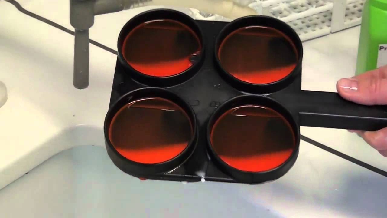 California Mastitis Test (engl.) - YouTube