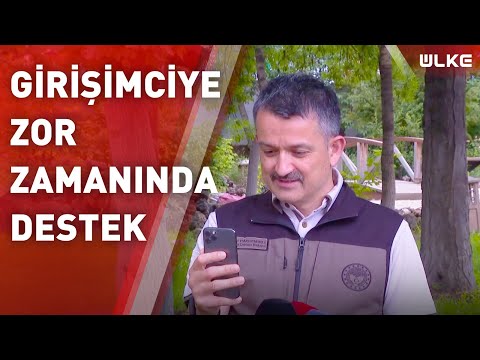 Bakan Pakdemirli, Kahramanmaraş'ta tavukları telef olan kadın girişimciyle telefonla görüştü