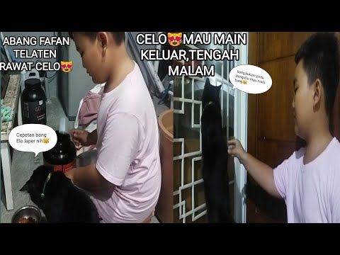 AUNTY MAIN KE RUMAH ABANG FAFAN DAN ABANG BI🥰‼️MAIN CAMA CELO 😻SI HITAM TAMPAN ‼️